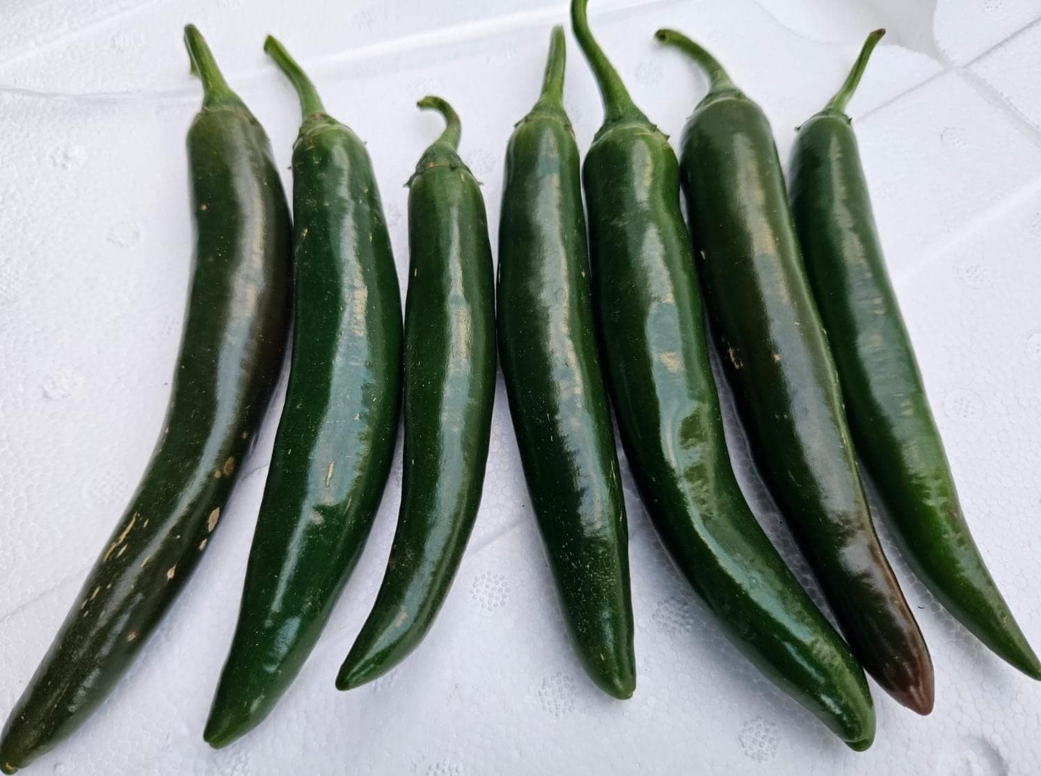 Cayenne (Long Green Chilli) - Frozen Pods | Chilli Kings
