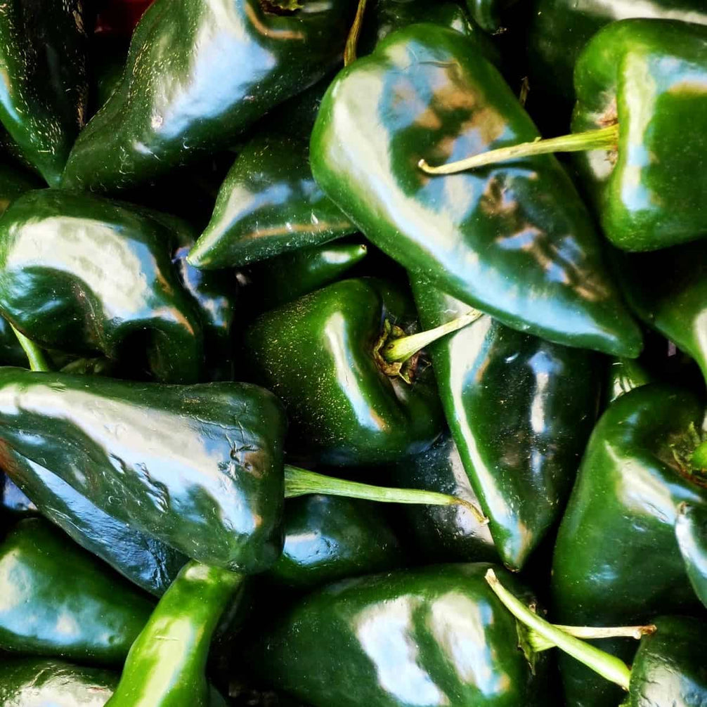 World's Hottest Chillies | Chilli Kings