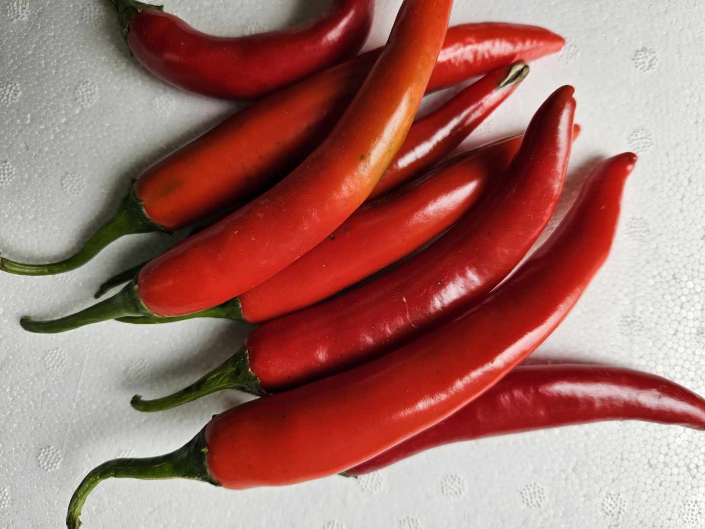 Birds Eye Large Chilli- Seeds | Chilli Kings