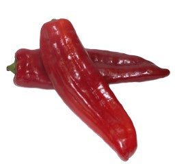 Bullhorn - Seeds | Chilli Kings